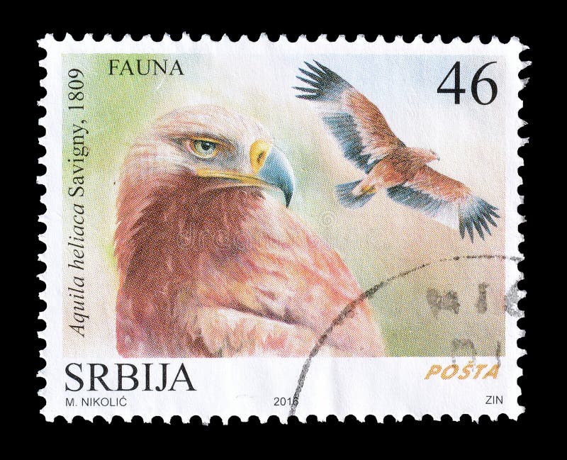 Postage Stamp Printed by Serbia Editorial Stock Image - Image of eagle ...