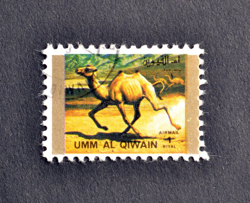 Cancelled Postage Stamp Printed by Umm Al-Qiwain, that Shows Camel ...