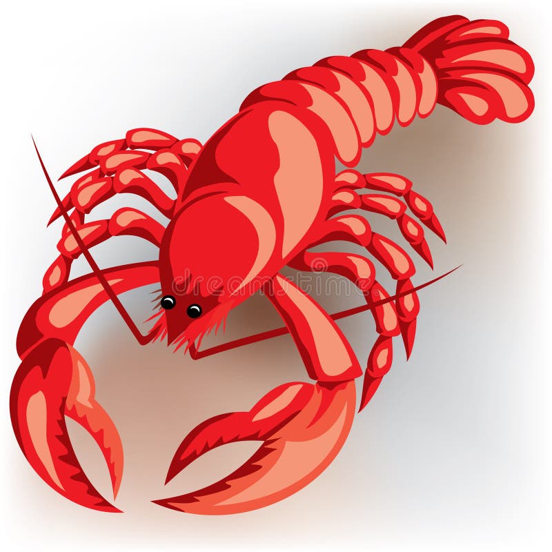 Cancer Crab Stock Illustrations – 6,047 Cancer Crab Stock Illustrations ...