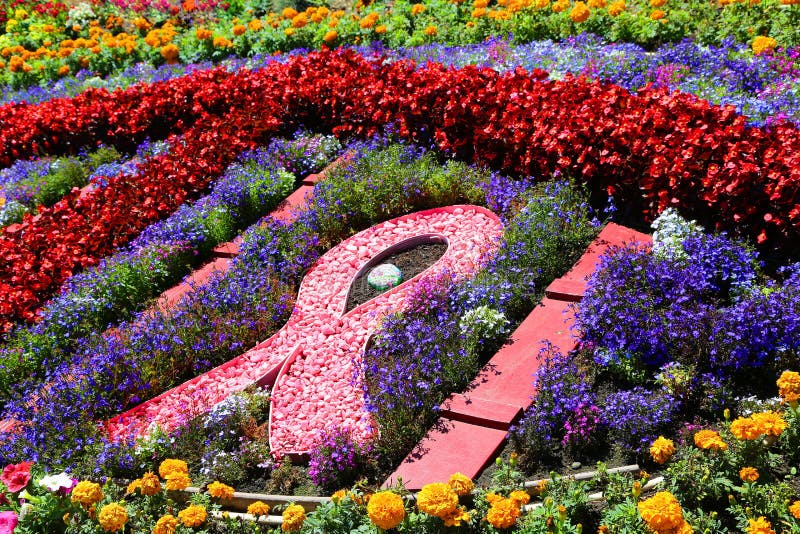 Cancer awareness stock image. Image of flowers, corporate - 53615691