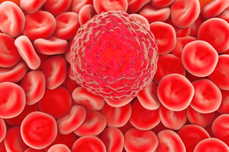 Cancer Cell and Red Blood Cell ,white Blood Cell Stock Illustration ...