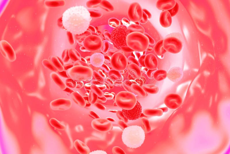 Cancer Cell and Red Blood Cell ,white Blood Cell Stock Illustration ...