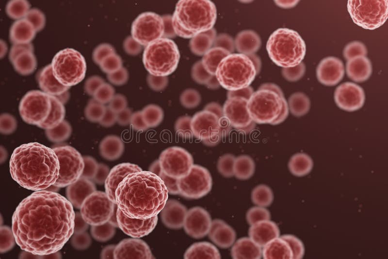 Cancer Cells Red Under a Microscope Stock Illustration - Illustration ...