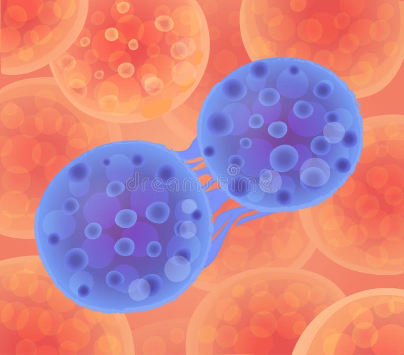 Cartoon Red Blood Cells Stock Illustrations – 678 Cartoon Red Blood ...