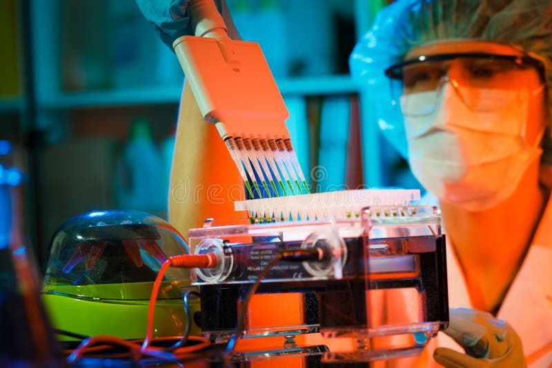 Cancer research laboratory stock image. Image of assay - 25880395