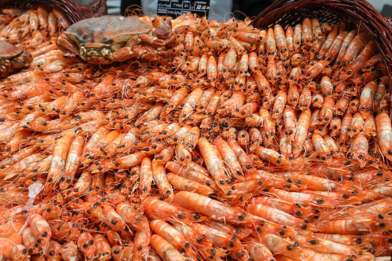 Fish fresh stock photo. Image of freshness, uncooked - 31307776