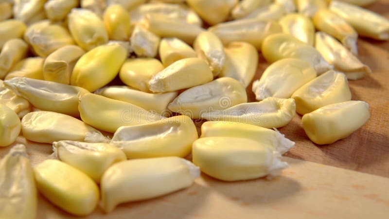 Cancha Corn Seeds on Rustic Surface. Dried Maize Stock Footage - Video ...