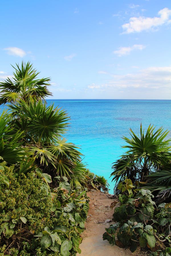 Cancun landscape stock image. Image of palm, calm, destination - 18162375