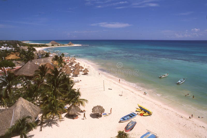 Cancun Mexico ,tropical Beach Palm Ocean Stock Photo - Image of shore ...