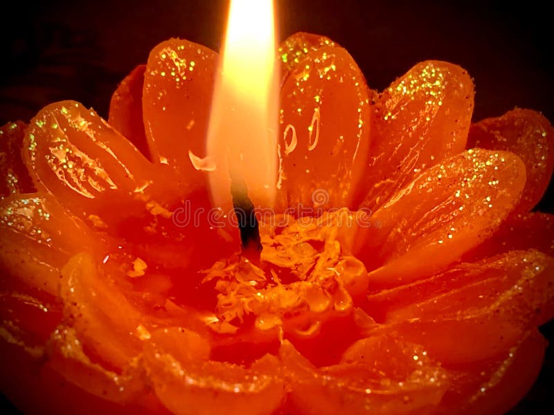 Candal Light stock photo. Image of quail, candal, beautiful - 264831690