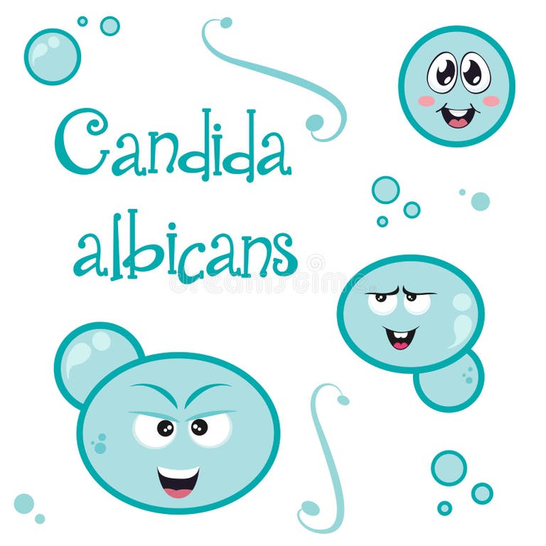 Candida Albicans Cartoon Educational Fungus Vector Graphic Stock Vector ...