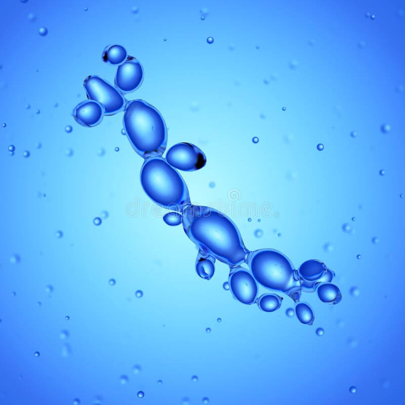 Candida albicans stock illustration. Illustration of albicans - 5604702