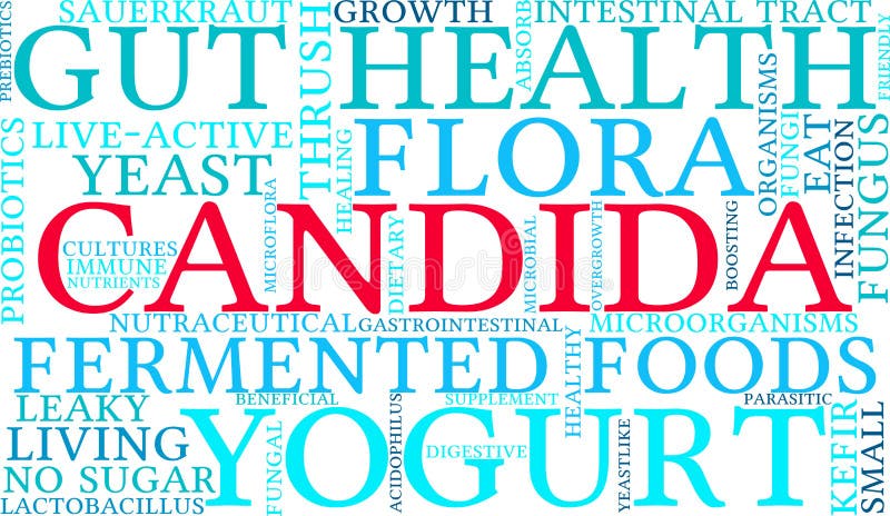 Candida Word Cloud ilustración del vector. Ilustración de chucrut ...