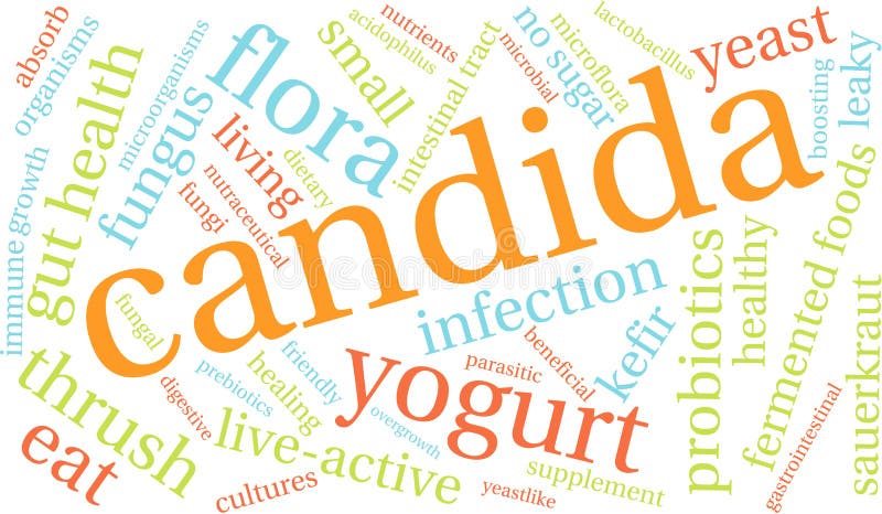 Candida Word Cloud ilustración del vector. Ilustración de sano - 108484455