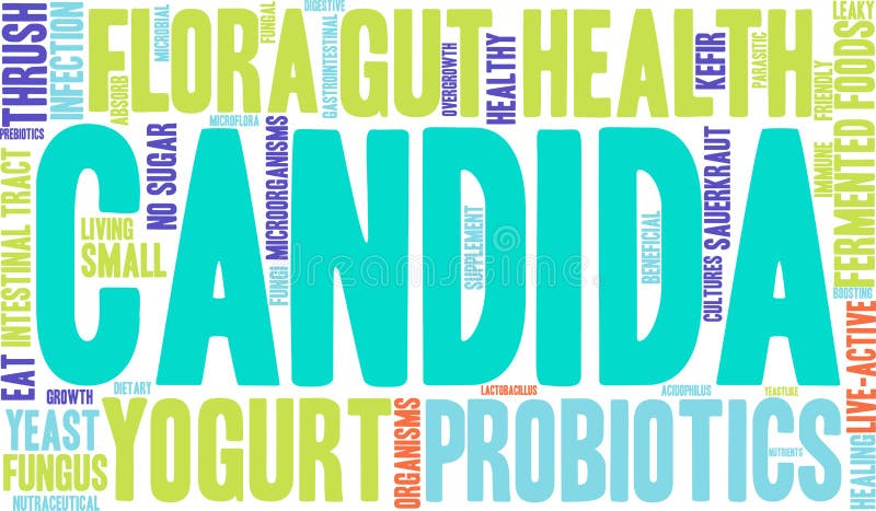 Candida Word Cloud stock vector. Illustration of boosting - 109297881