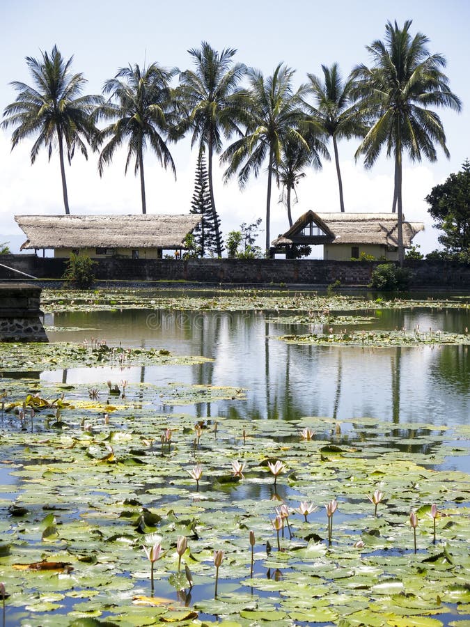 Candidasa Beach Villge Pond Stock Photo - Image of beach, water: 44119628