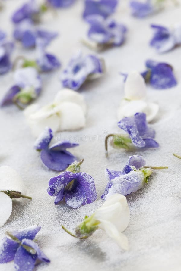 Candied violets stock image. Image of desserts, organic - 36569339