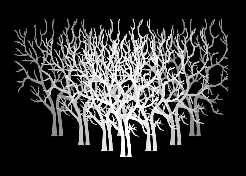 Forest with Naked White Trees Isolated on Black Background. Stock ...