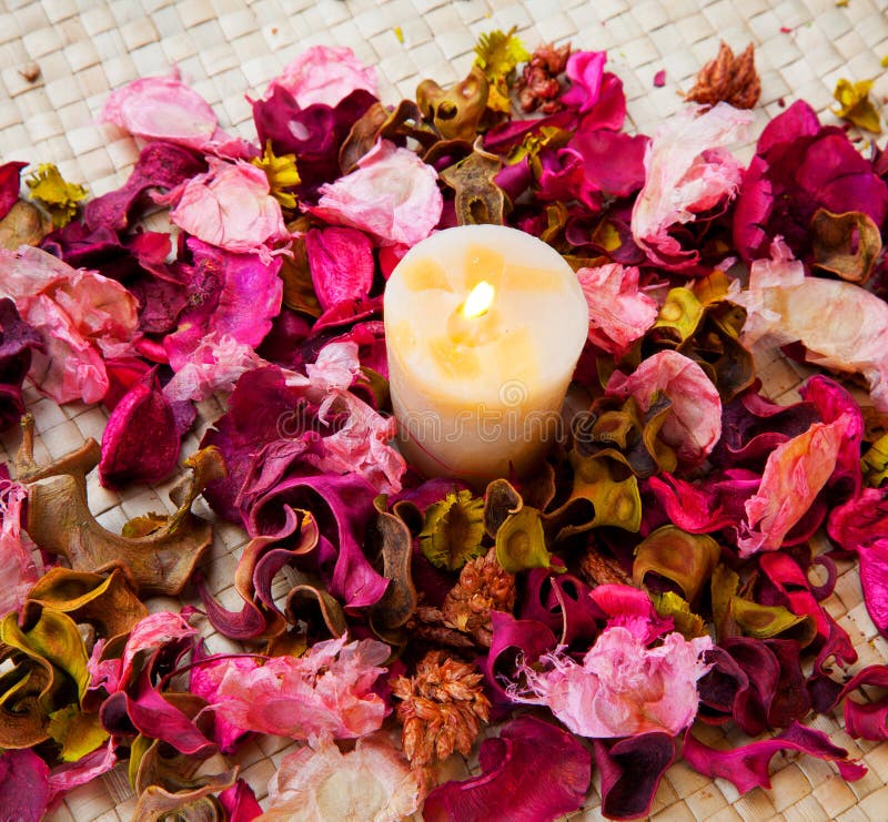 Candle with rose stock image. Image of holiday, petal - 22000387