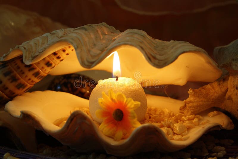 Candle in a shell stock photo. Image of purity, peace - 11722654