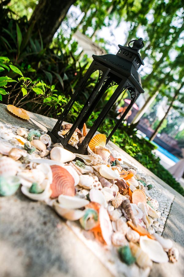 Candleholder Shells Ground Bust Close Shot Sunshine Outdoor Decoration ...