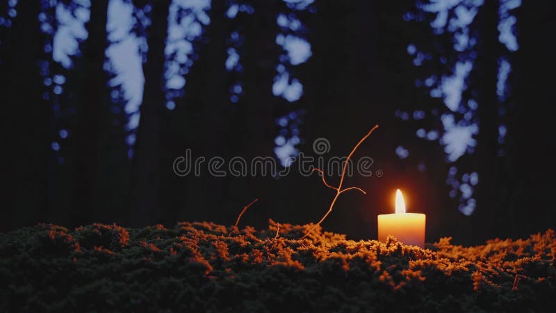 Candlelight in the Forest at Dusk, Atmospheric Scene. Tranquil Nature ...