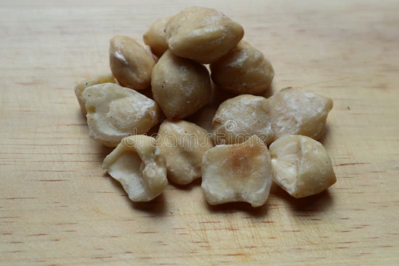 Candlenut stock photo. Image of limb, branch, husk, tree - 127856730