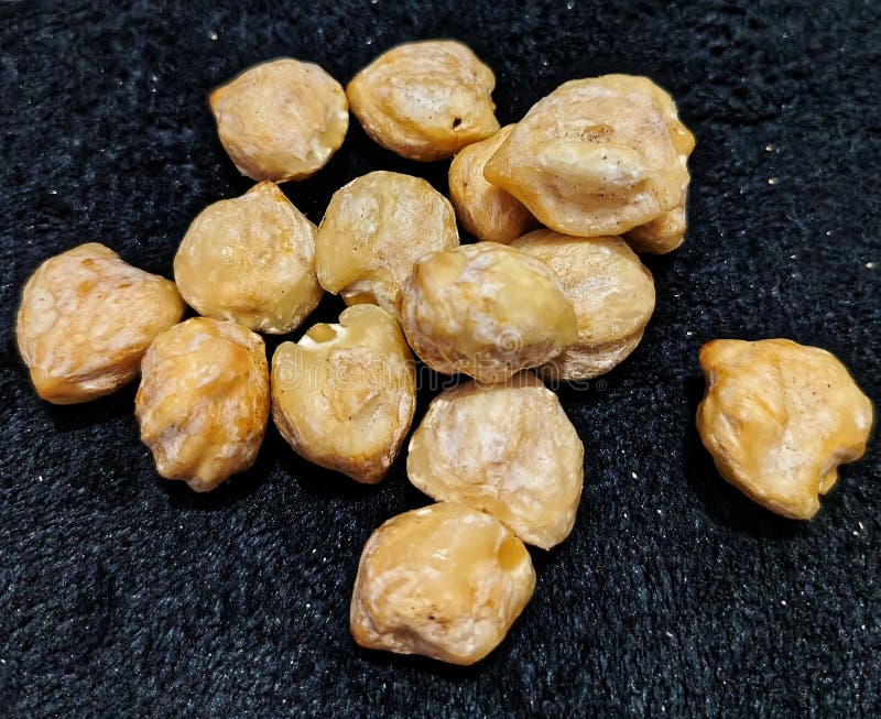 Candlenut in Indonesia stock image. Image of like, candlenut - 355541303