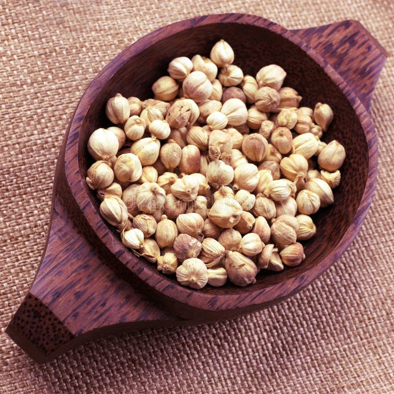 Candlenuts stock photo. Image of flavour, cooking, vegetarian - 14602546