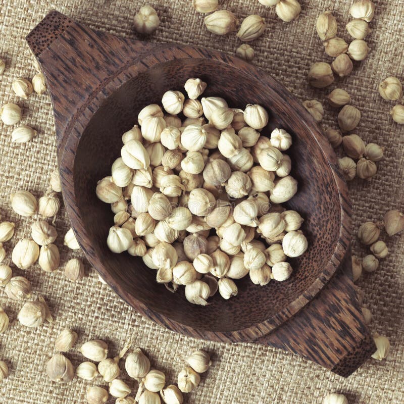 Candlenuts stock photo. Image of flavour, cooking, vegetarian - 14602546