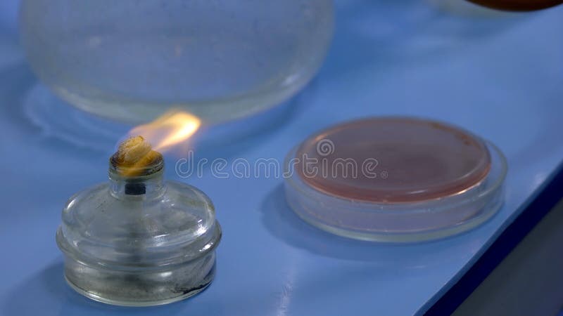 Candlestick with Fire on Laboratory Table. Stock Photo - Image of fire ...