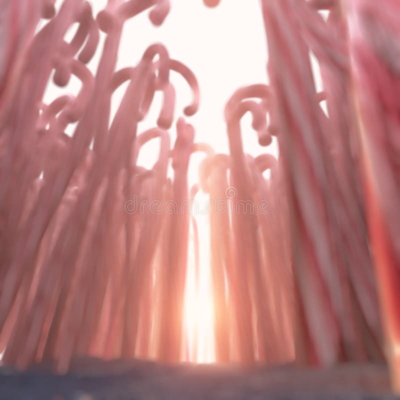 Candy Cane Forest Stock Illustrations 579 Candy Cane Forest Stock Illustrations Vectors