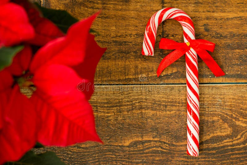 Candy Cane with and Plant with Red Leaves Stock Image - Image of green ...