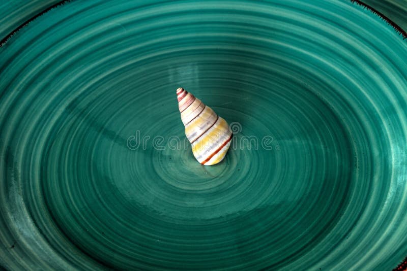 205 Rainbow Snail Stock Photos - Free & Royalty-Free Stock Photos from ...