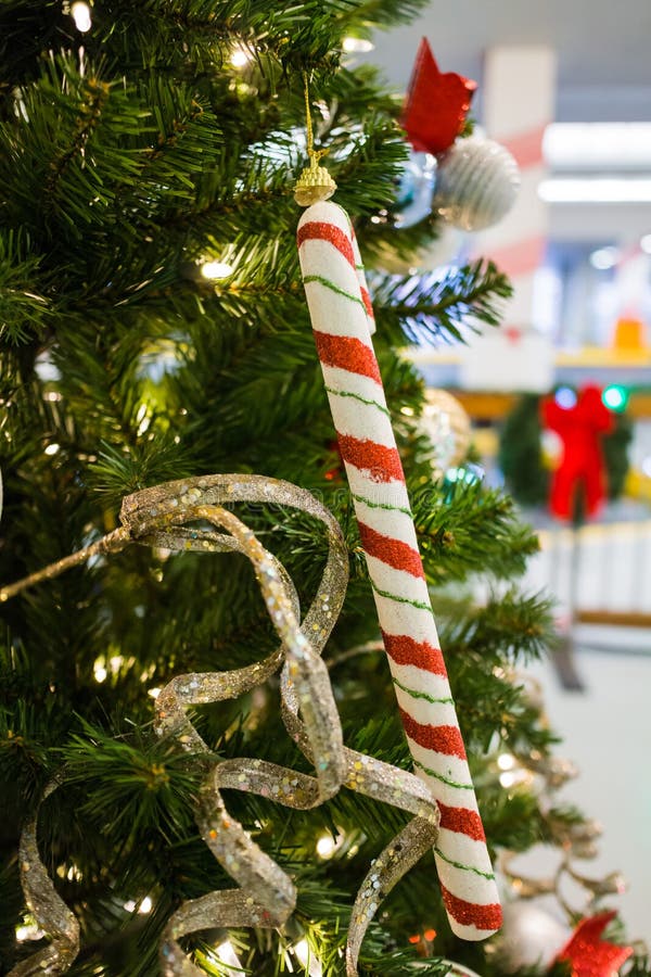 Candy cane on tree stock image. Image of merry, xmas - 36004107