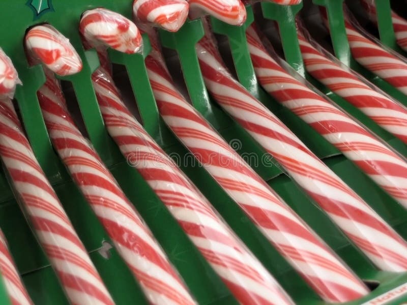 Candy Canes stock photo. Image of december, merry, festivity - 1183514