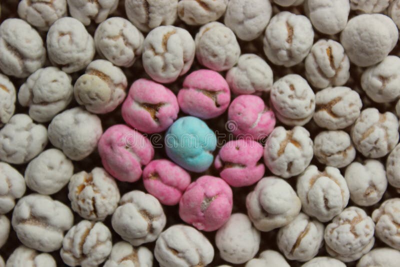 Candy chickpea stock photo. Image of food, plant, cuisine - 213690386