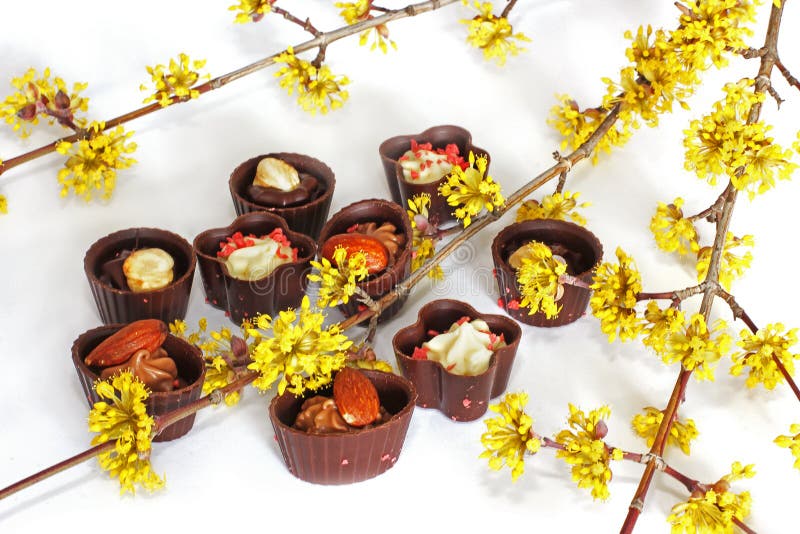 Candy and Flowers on White Background Stock Image - Image of abstract ...