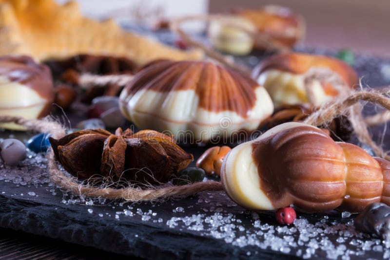 Belgian Sea Shell Chocolates Stock Photo - Image of belgian, hunger ...