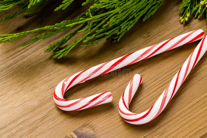 Candycanes stock photo. Image of food, holiday, evergreen - 47914300