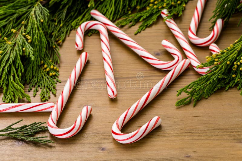 Candycanes stock photo. Image of sugary, tree, dessert - 47914210
