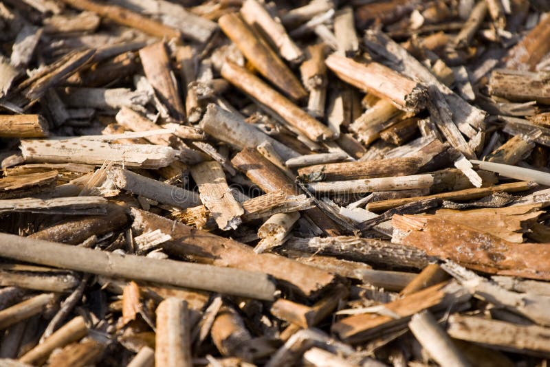 Cane Picture. Image: 5037722