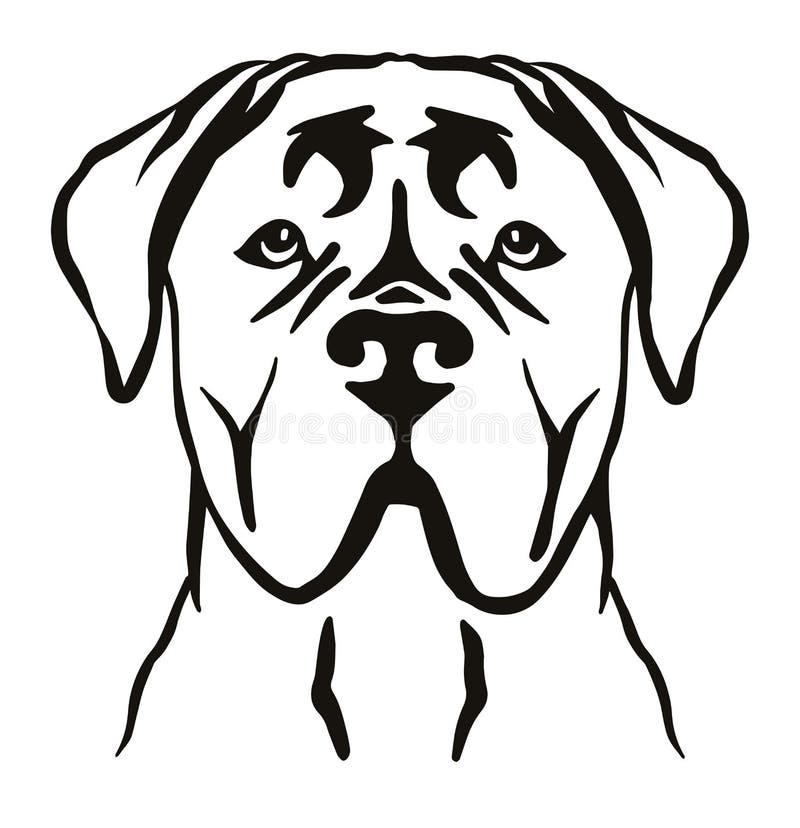 Cane Corso Stock Illustrations – 2,230 Cane Corso Stock Illustrations ...