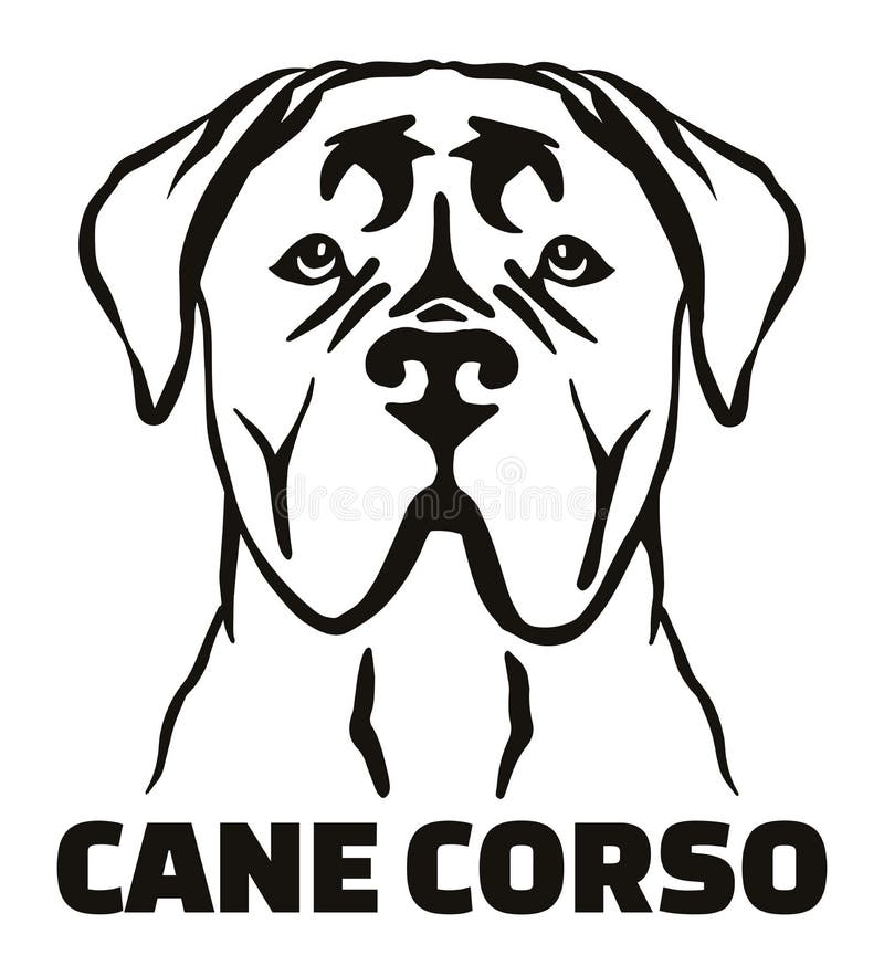 Cane Corso Stock Illustrations – 426 Cane Corso Stock Illustrations ...