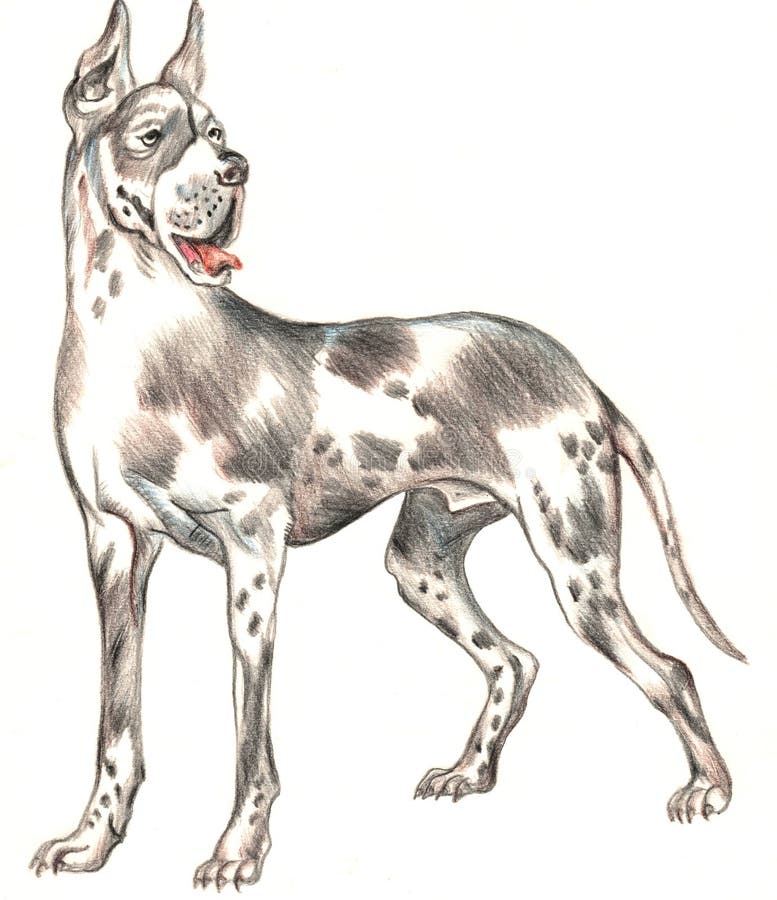 Cane disegnato a mano illustrazione di stock. Illustrazione di mano ...