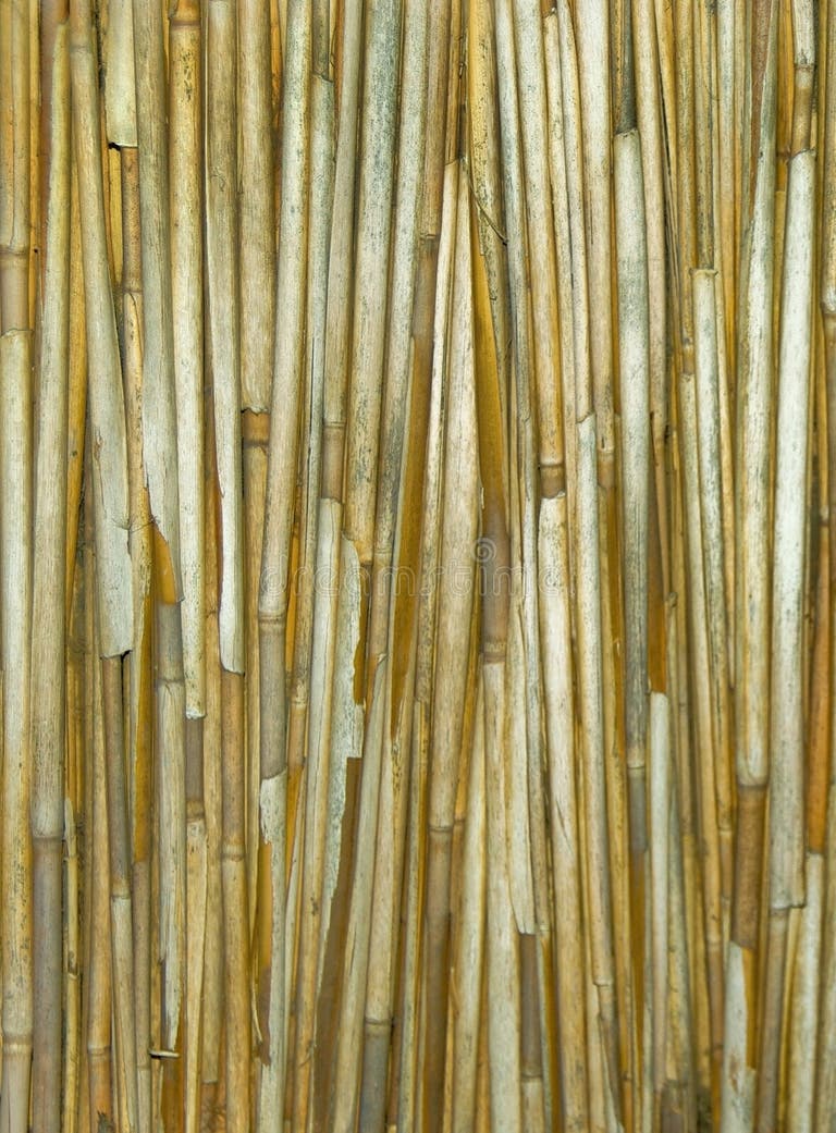 2,327 Cane Roof Stock Photos - Free & Royalty-Free Stock Photos from ...