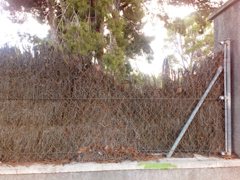 Texture fence stock photo. Image of facade, fence, chalet - 126743848