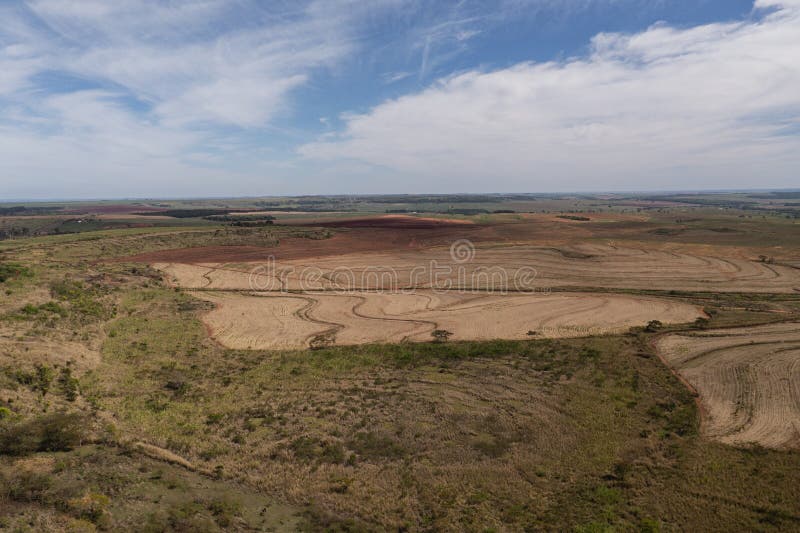 Cane Fields Seen from Above by Drone Stock Image - Image of production ...