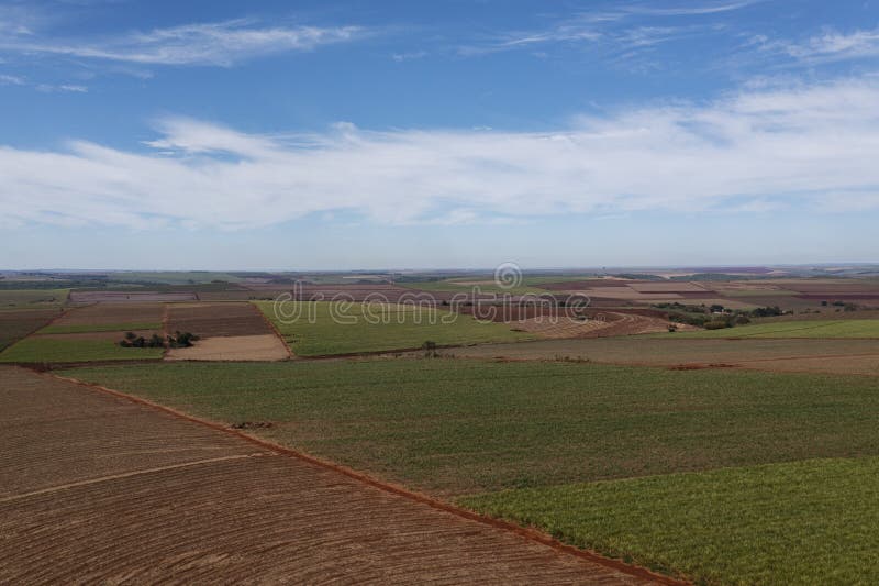 Cane Fields Seen from Above by Drone Stock Image - Image of view, sugar ...