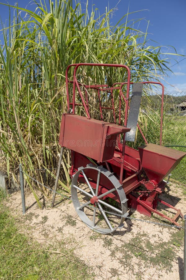 Cane Planter for Sugar Cane Stock Photo - Image of green, field: 147885642